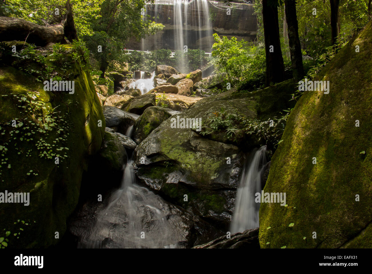 The big Waterfalls, clear, beautiful, green, plants, moss, rocks Stock ...