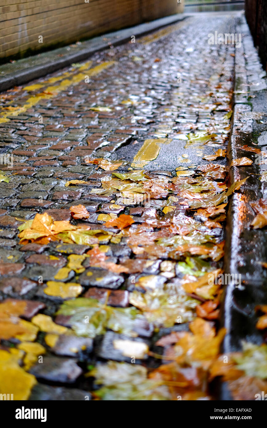 Nottingham, UK. 14th November, 2014. UK weather. Dark skies and heavy ...
