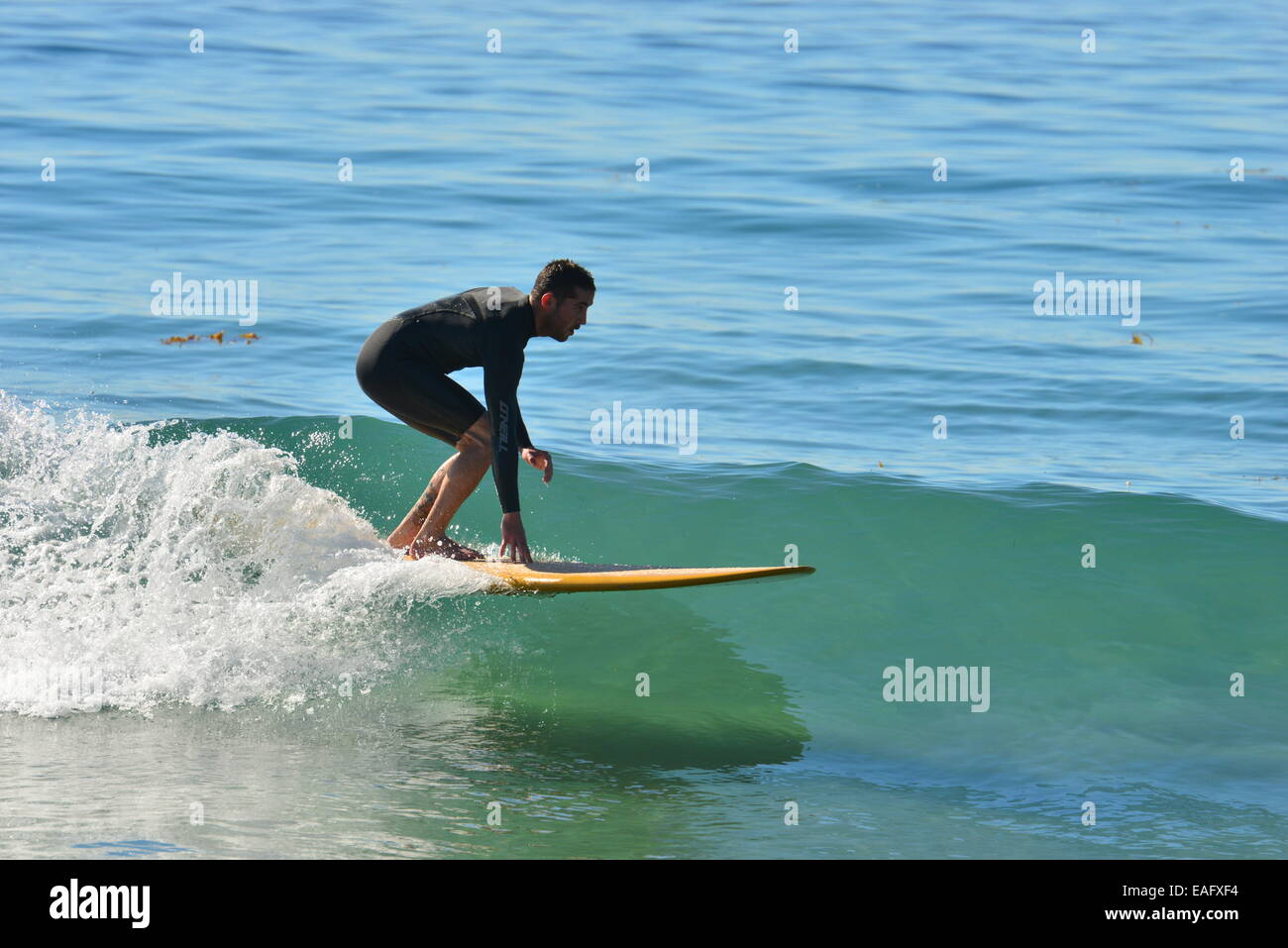 Surfing at Zuma beach California Stock Photo - Alamy
