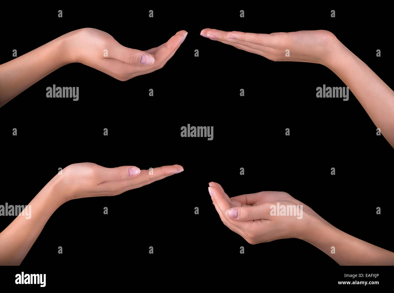 Beautiful woman hand holding isolated on black background Stock Photo ...
