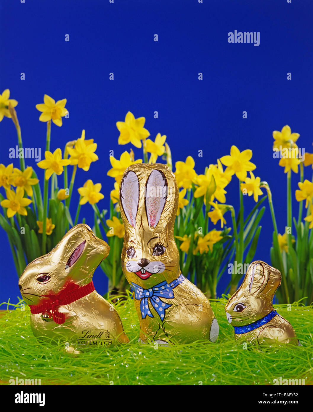 Golden bunny hi-res stock photography and images - Alamy