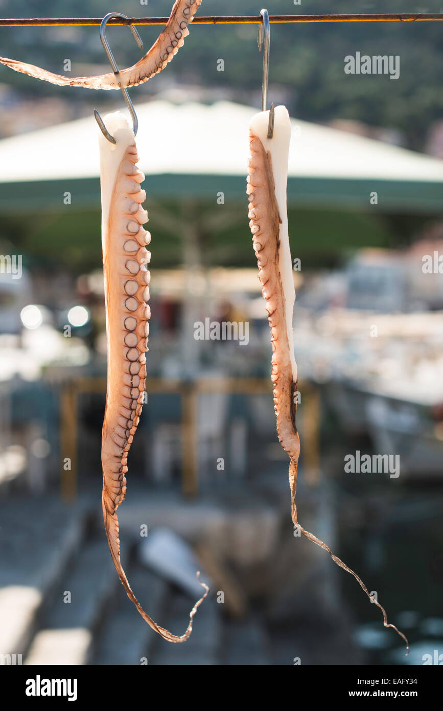 Octopus tied on rope and boats Stock Photo - Alamy