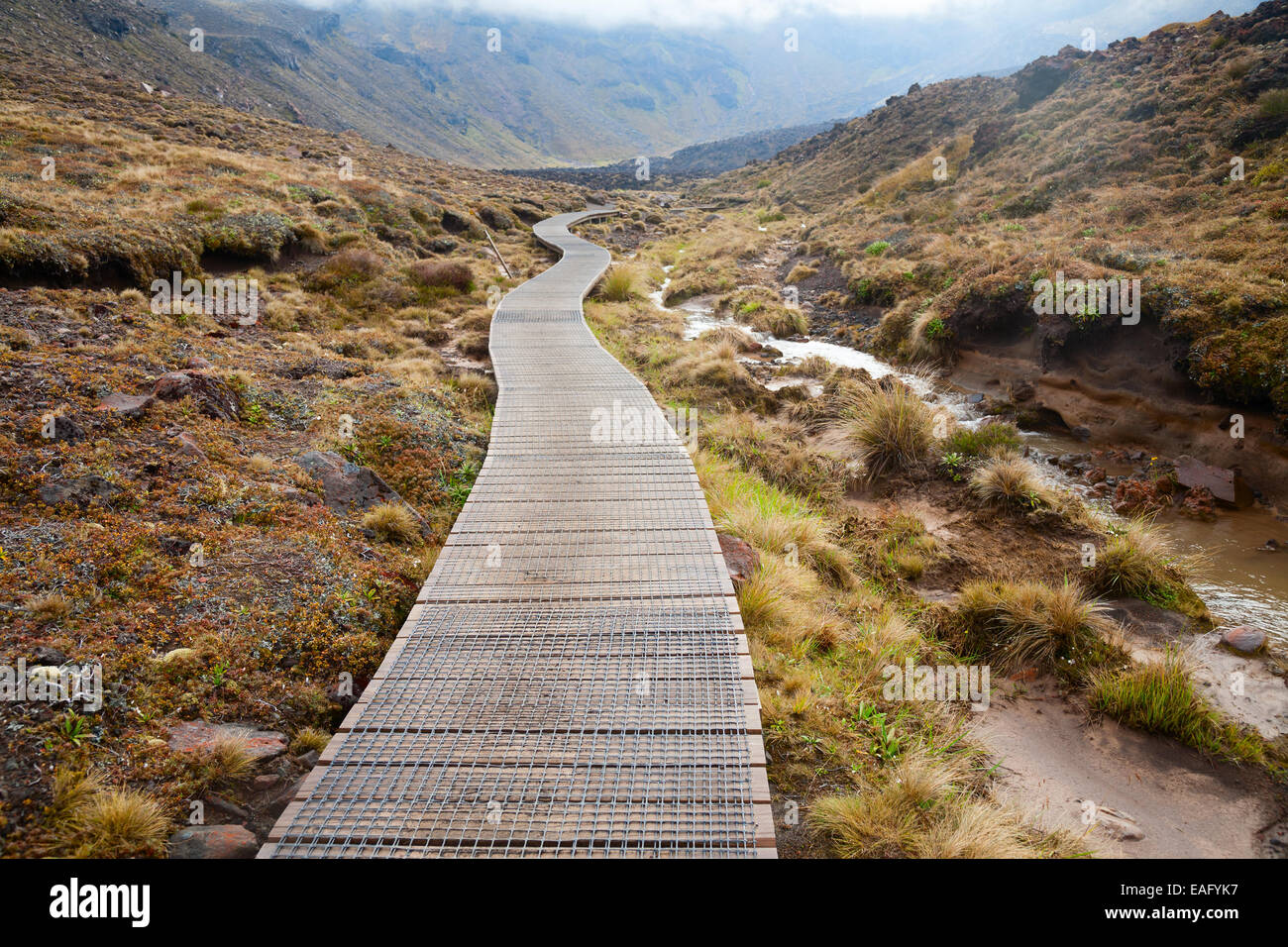 Public tramping track at Tongariro National Park in New Zealand Stock ...