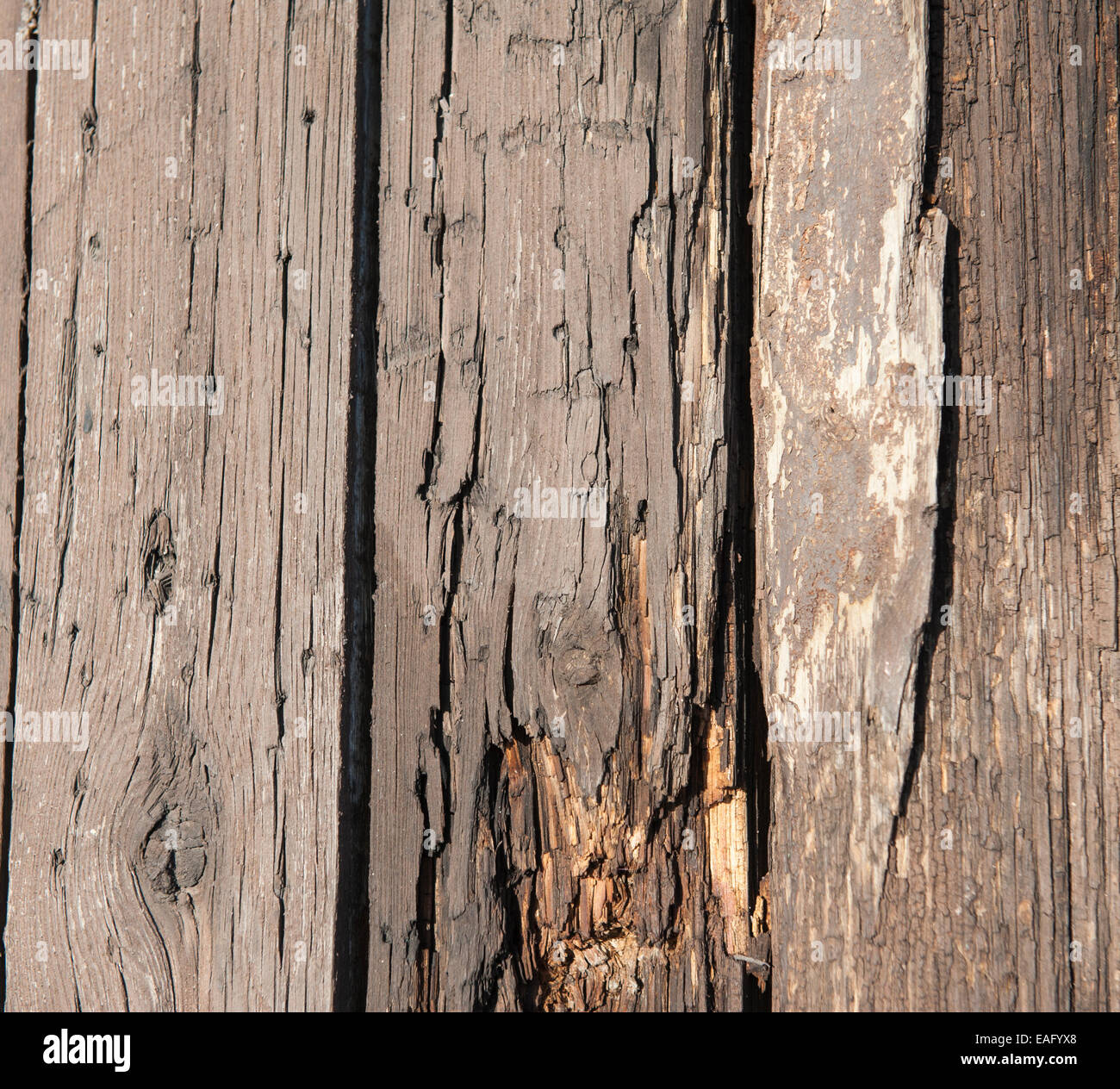Rotten old planks hi-res stock photography and images - Alamy