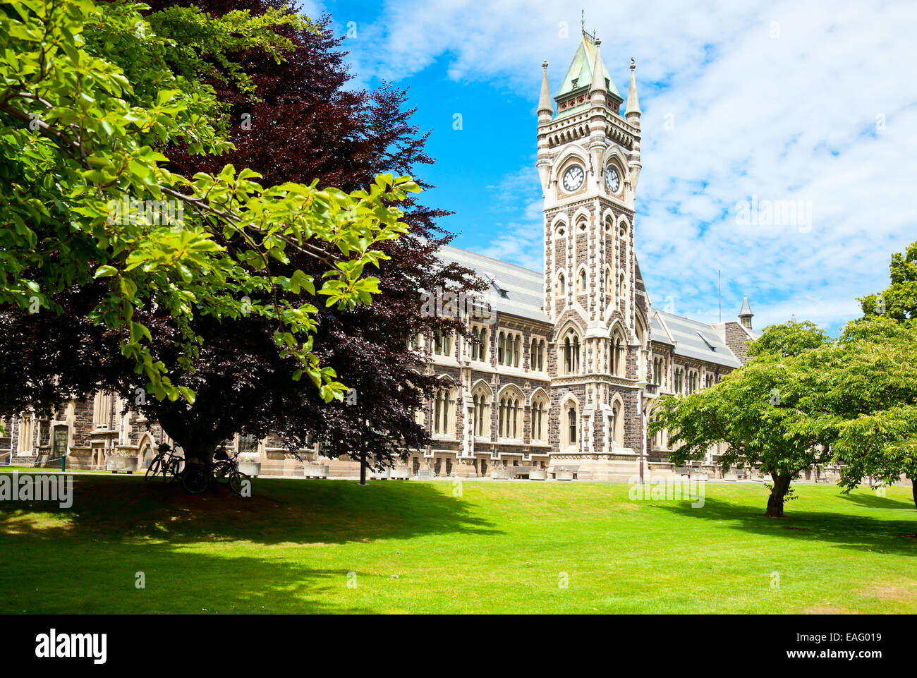 Otago University New Zealand