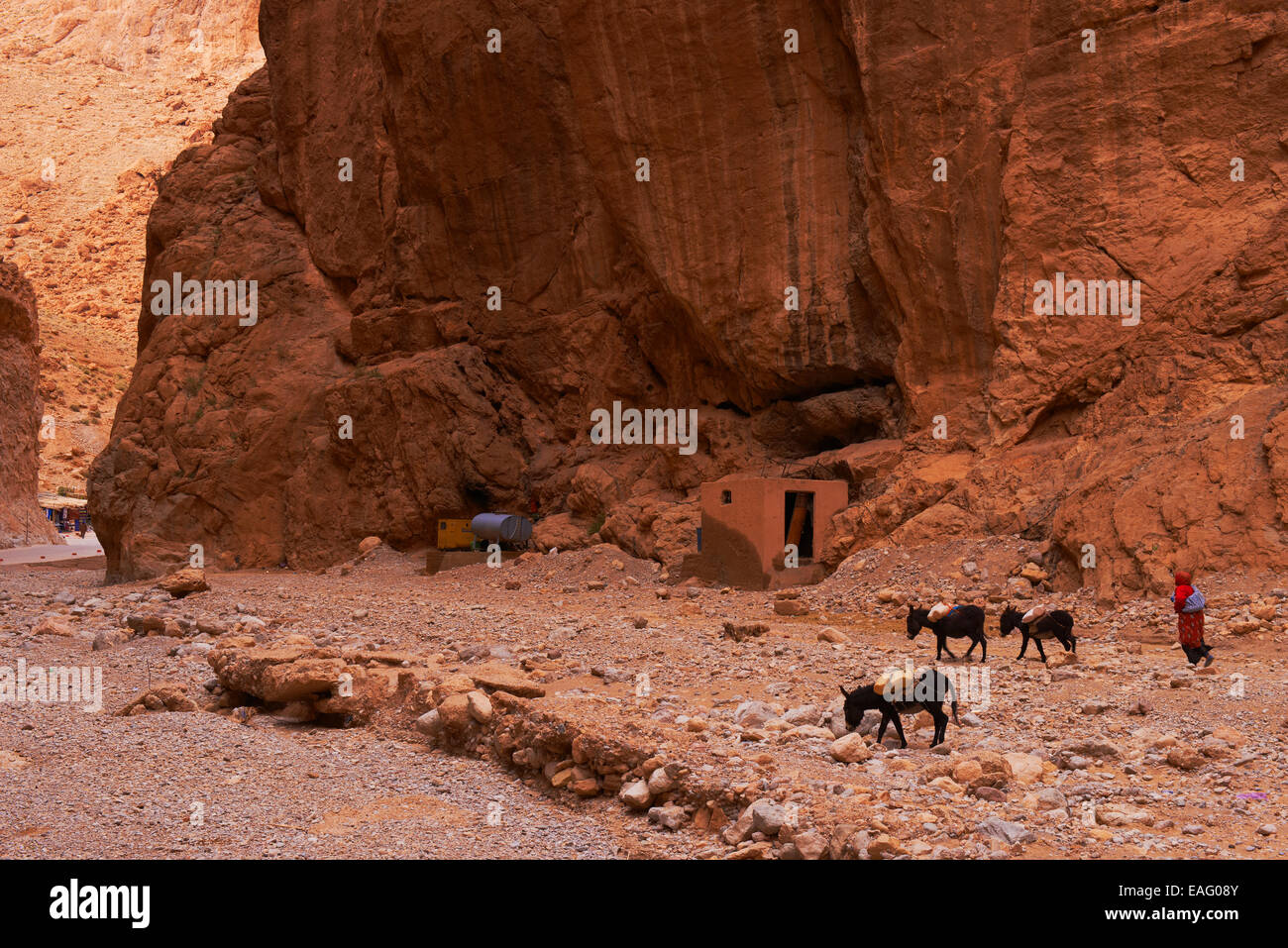 Todra Gorges, Todra valley, High Atlas Mountains, Morocco, North Africa ...