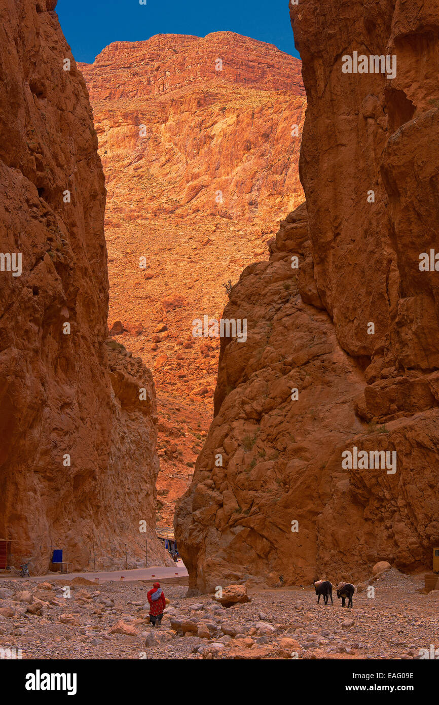 Todra Gorges, Todra valley, High Atlas Mountains, Morocco, North Africa ...