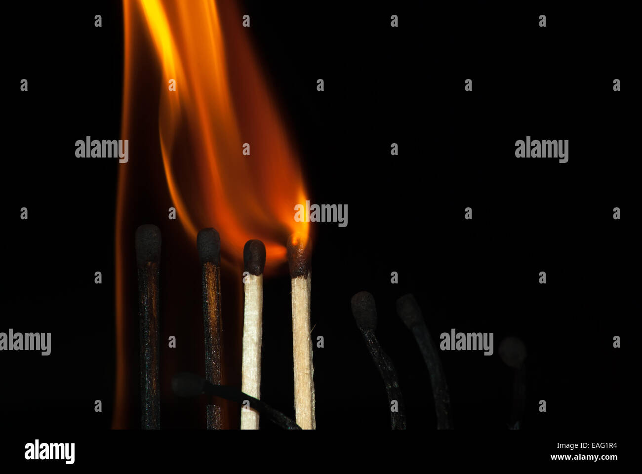 Burning match on a black background. Build a fire Stock Photo - Alamy