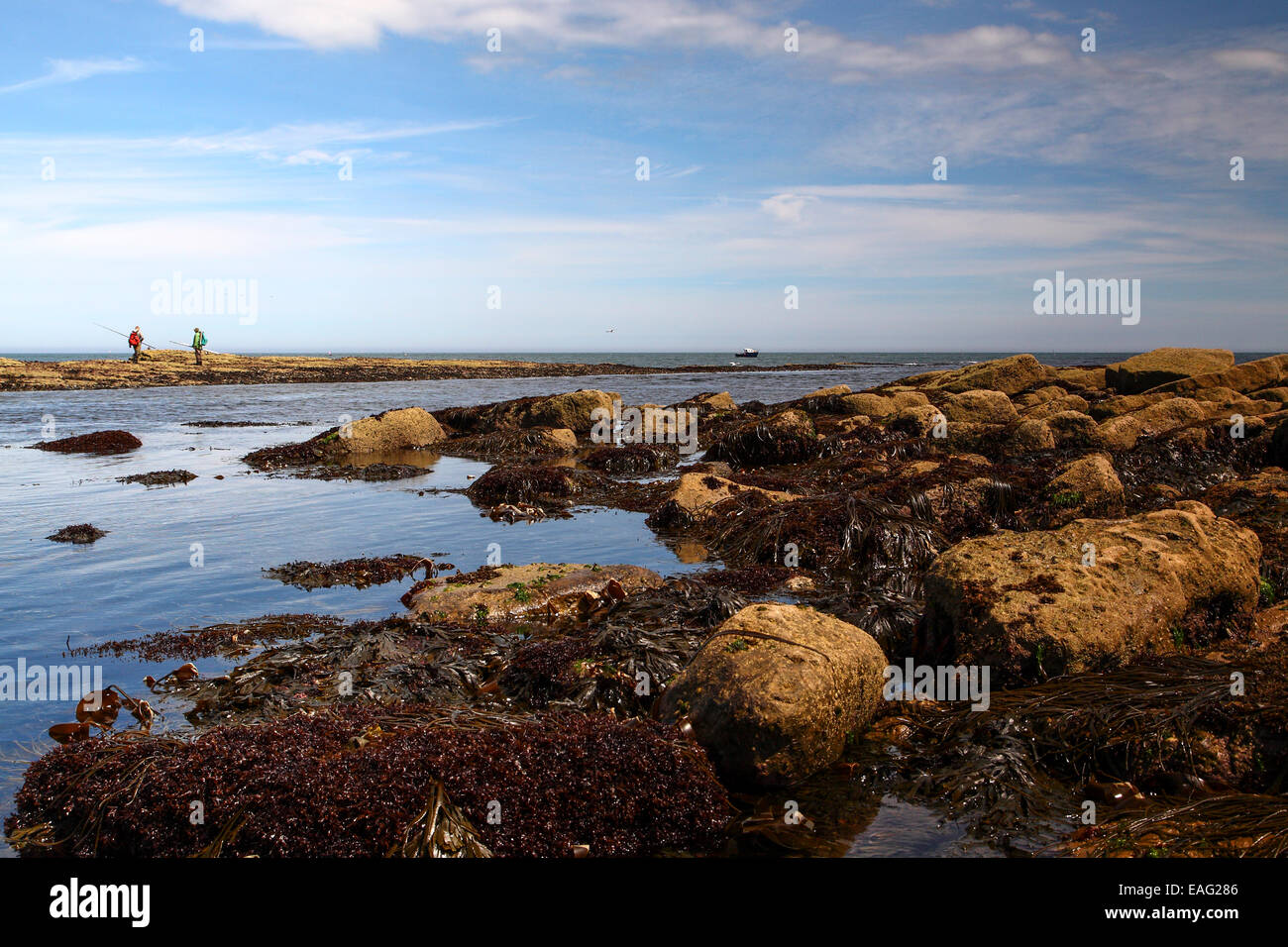 Filey fishermen hi-res stock photography and images - Alamy