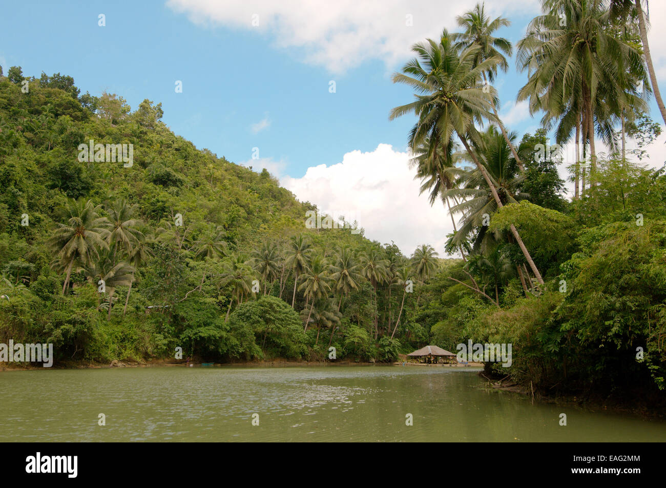 River Loboc, island Bohol, Philippines, Southeast Asia Stock Photo - Alamy