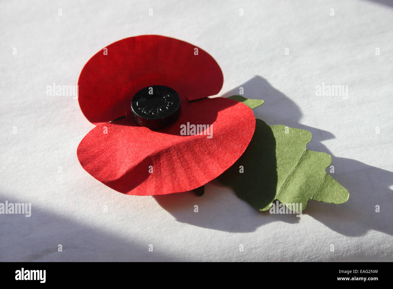 Paper poppy remembrance hi-res stock photography and images - Alamy