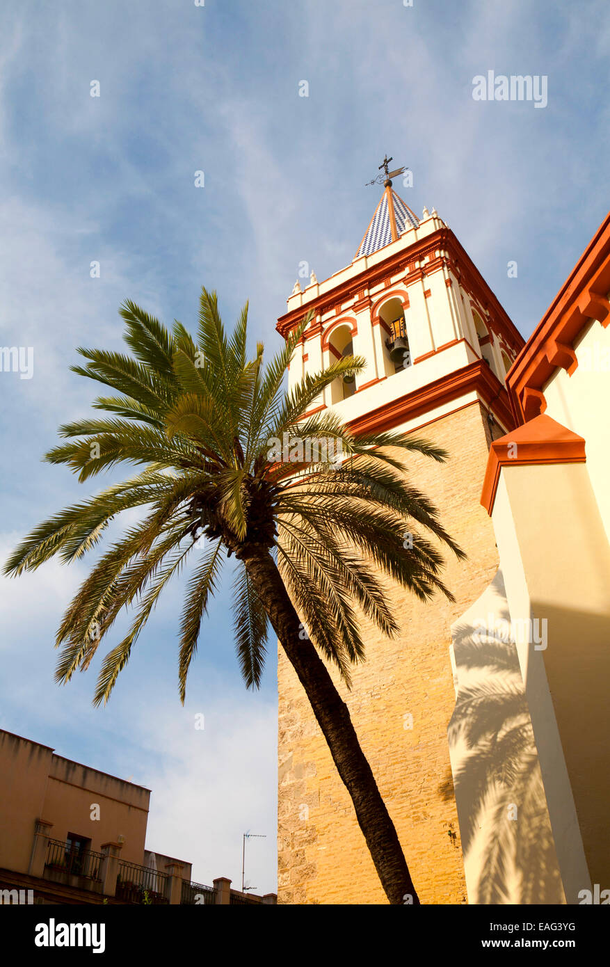 Spanish Date Palm Tree High Resolution Stock Photography and Images - Alamy