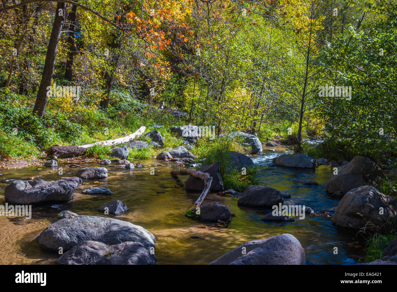 The colors of fall in beautiful Sedona Arizona Stock Photo - Alamy