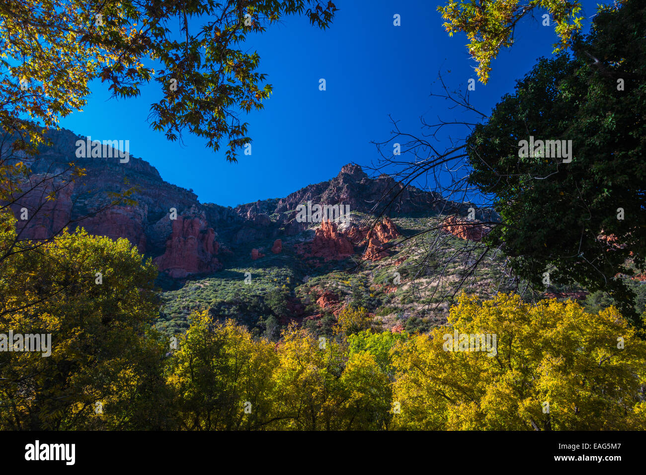 The colors of fall in beautiful Sedona Arizona Stock Photo - Alamy