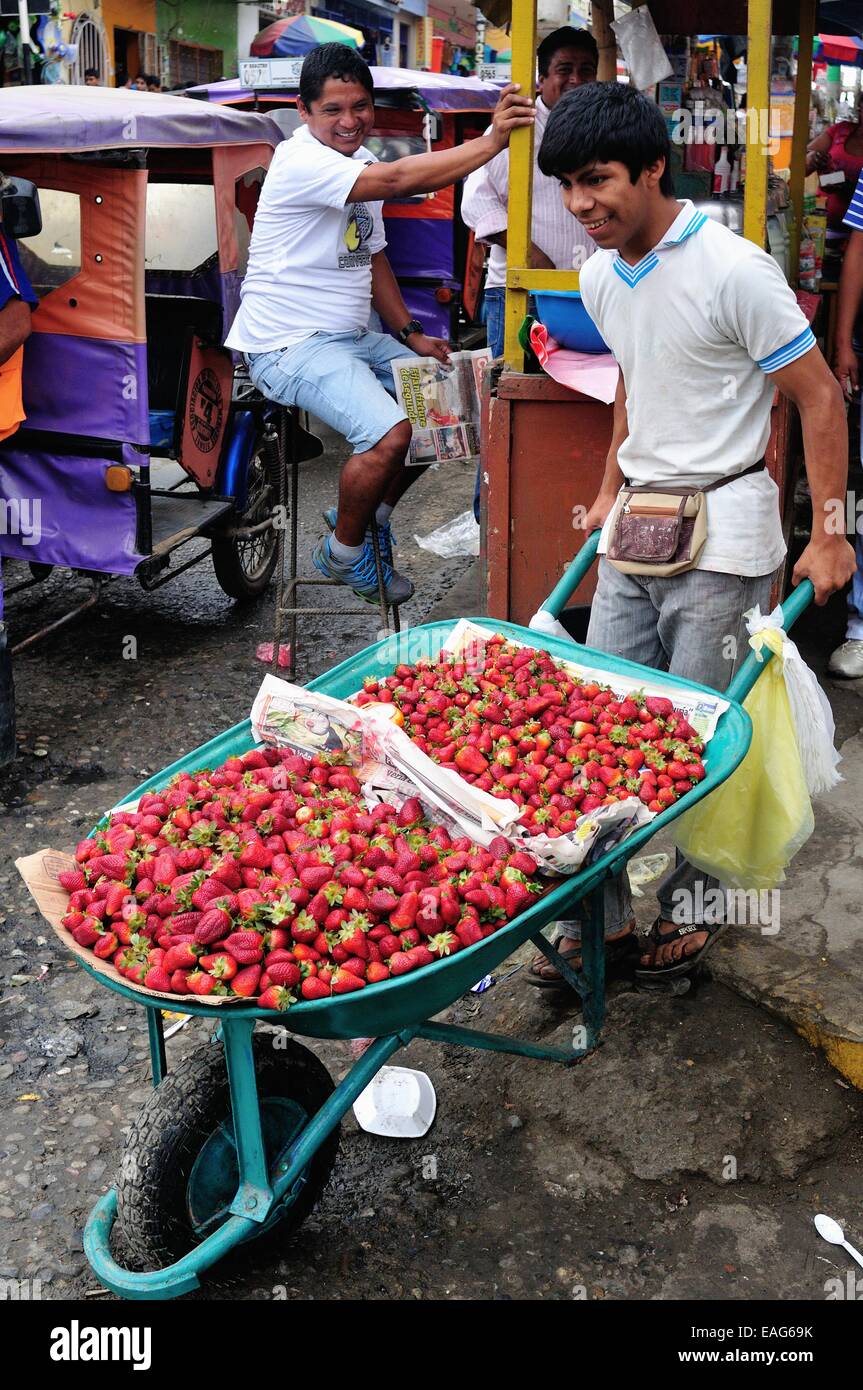 Peruvian strawberry hi-res stock photography and images - Alamy