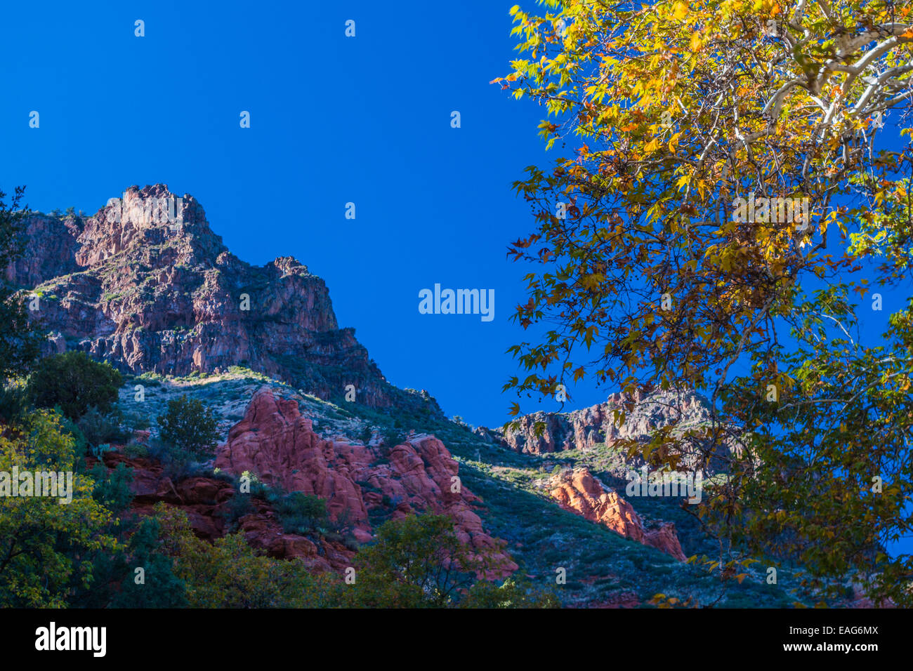 The colors of fall in beautiful Sedona Arizona Stock Photo - Alamy