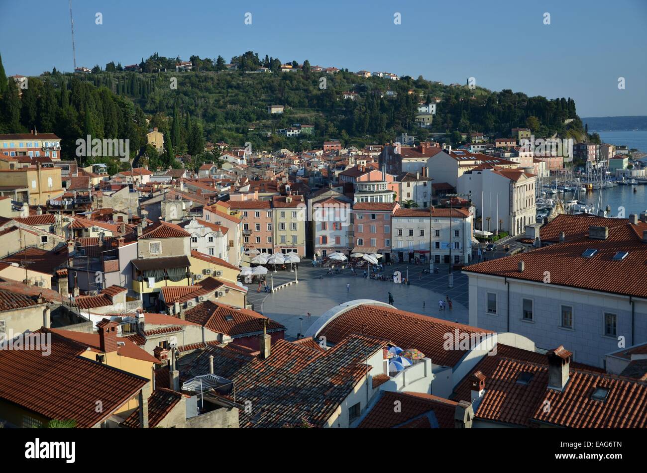 Piran Tartini's square from top Stock Photo - Alamy