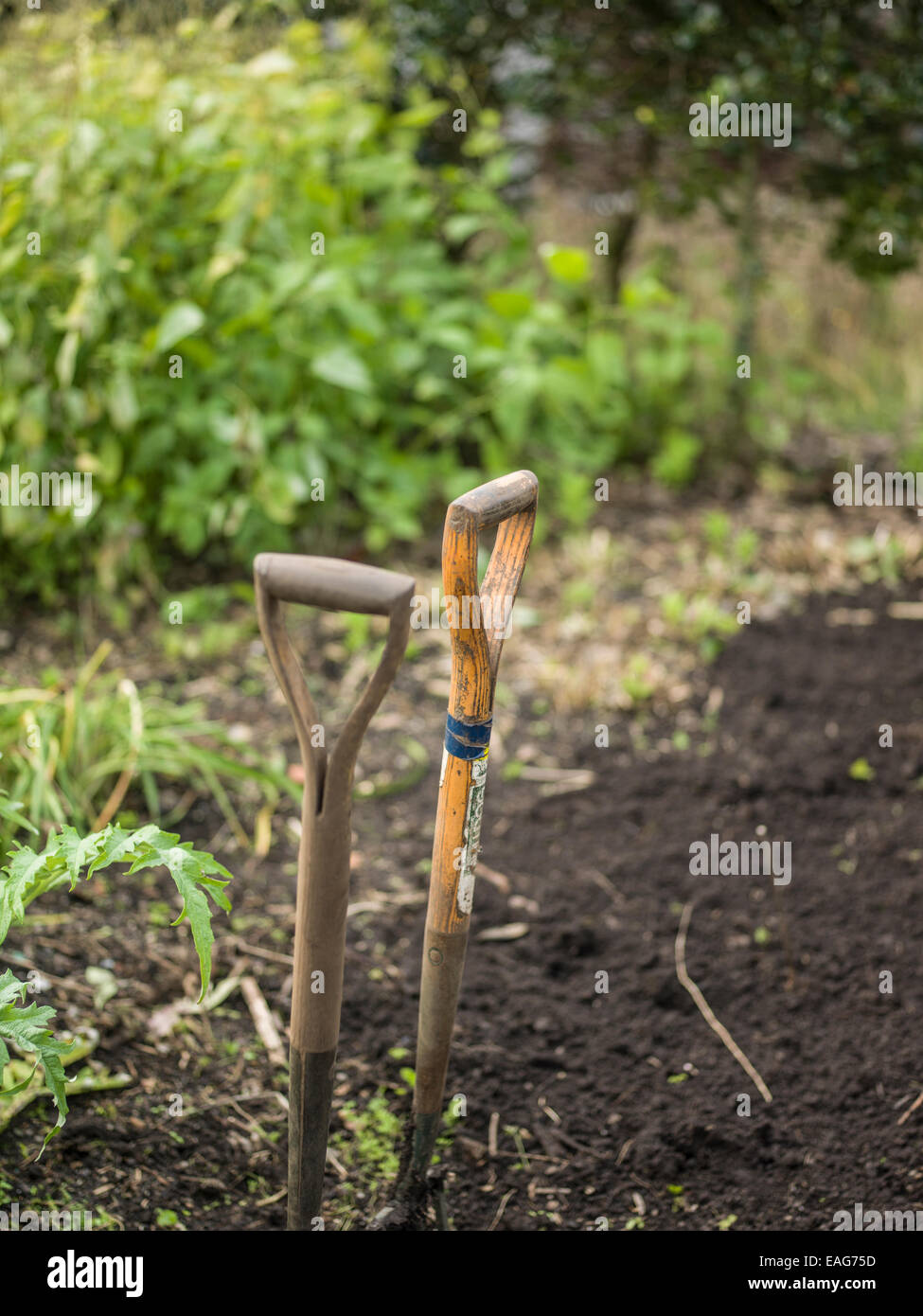 A couple of gardening tools Stock Photo - Alamy