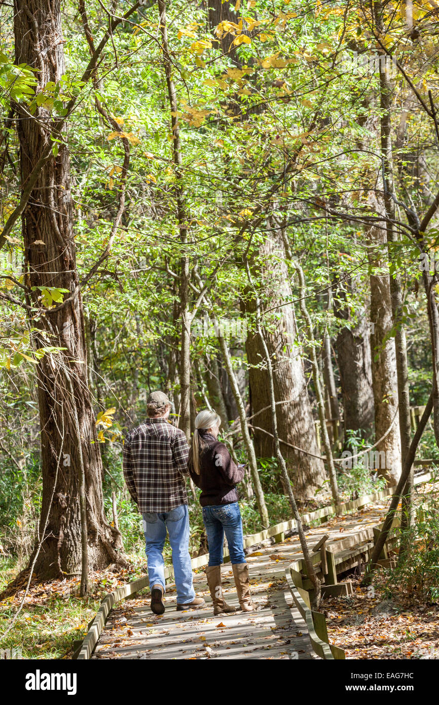 A couple walks the boardwalk loop through Congaree National Park, the ...