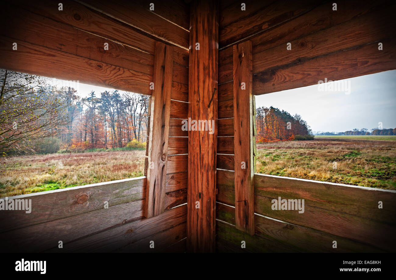 Interior pulpit hunting forest hi-res stock photography and images - Alamy