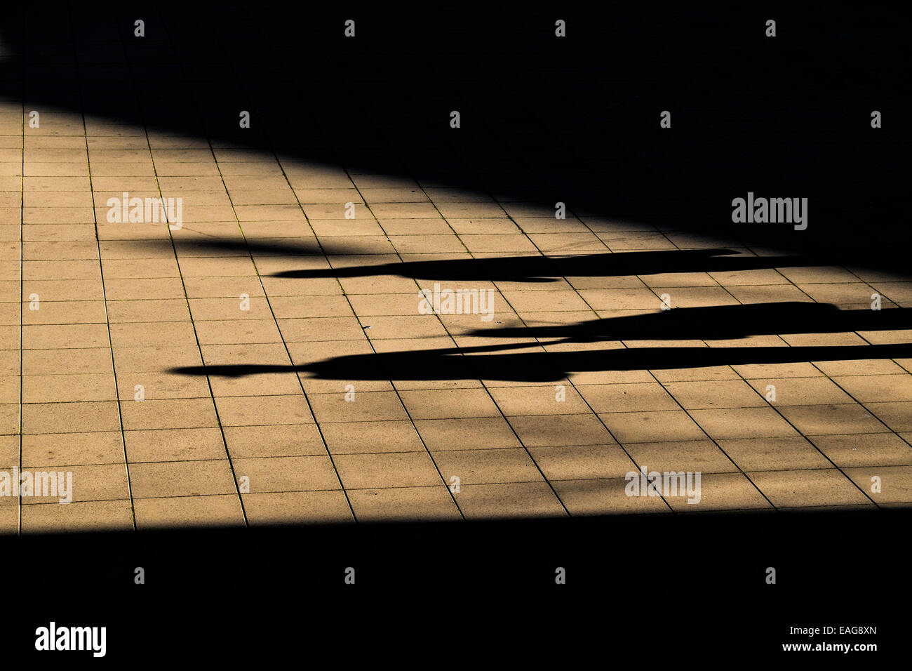 The shadow of a group of people is cast by evening sunlight Stock Photo ...