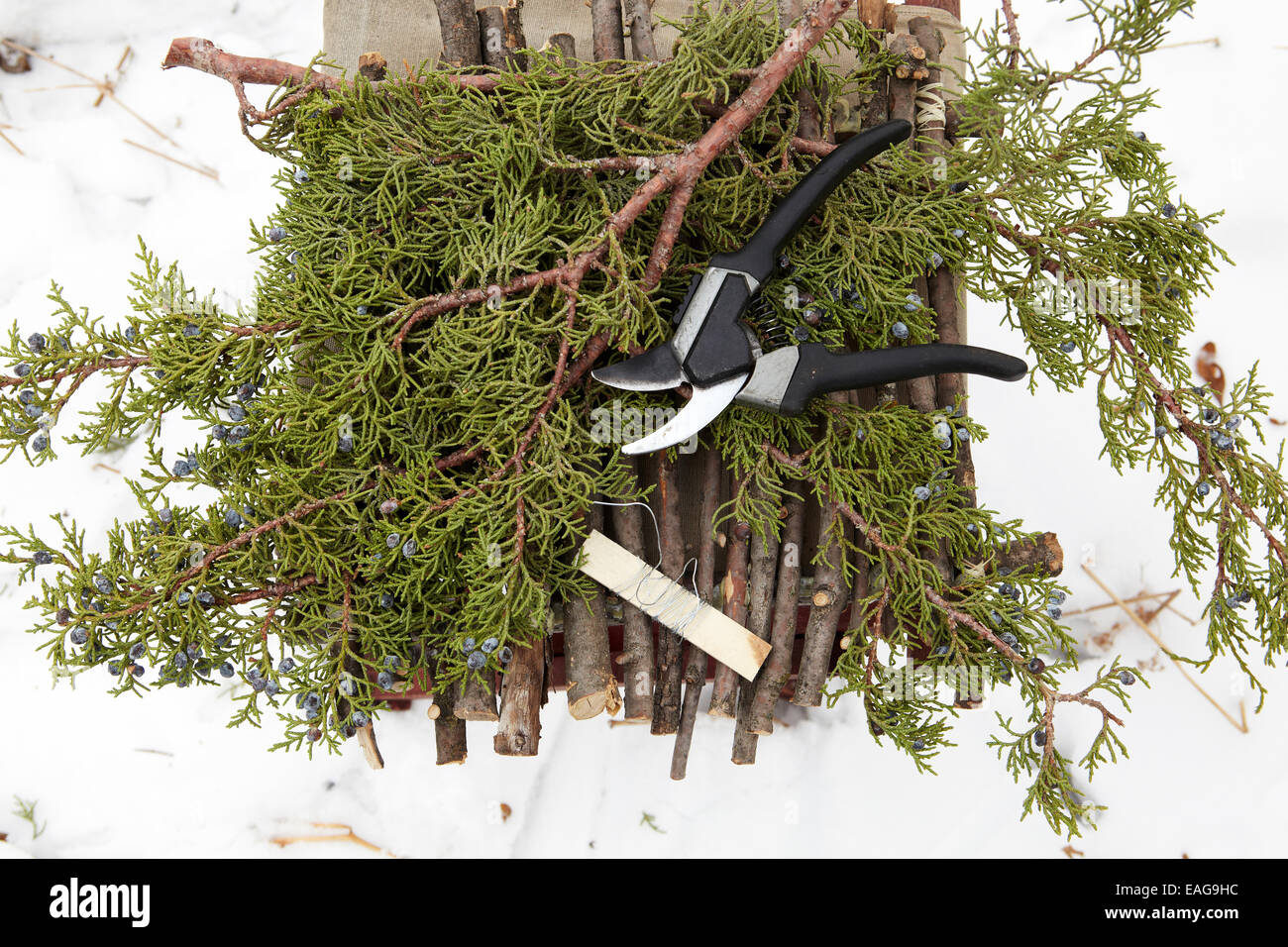 Evergreen boughs hi-res stock photography and images - Alamy