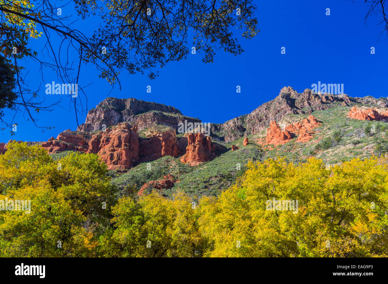 The colors of fall in beautiful Sedona Arizona Stock Photo - Alamy