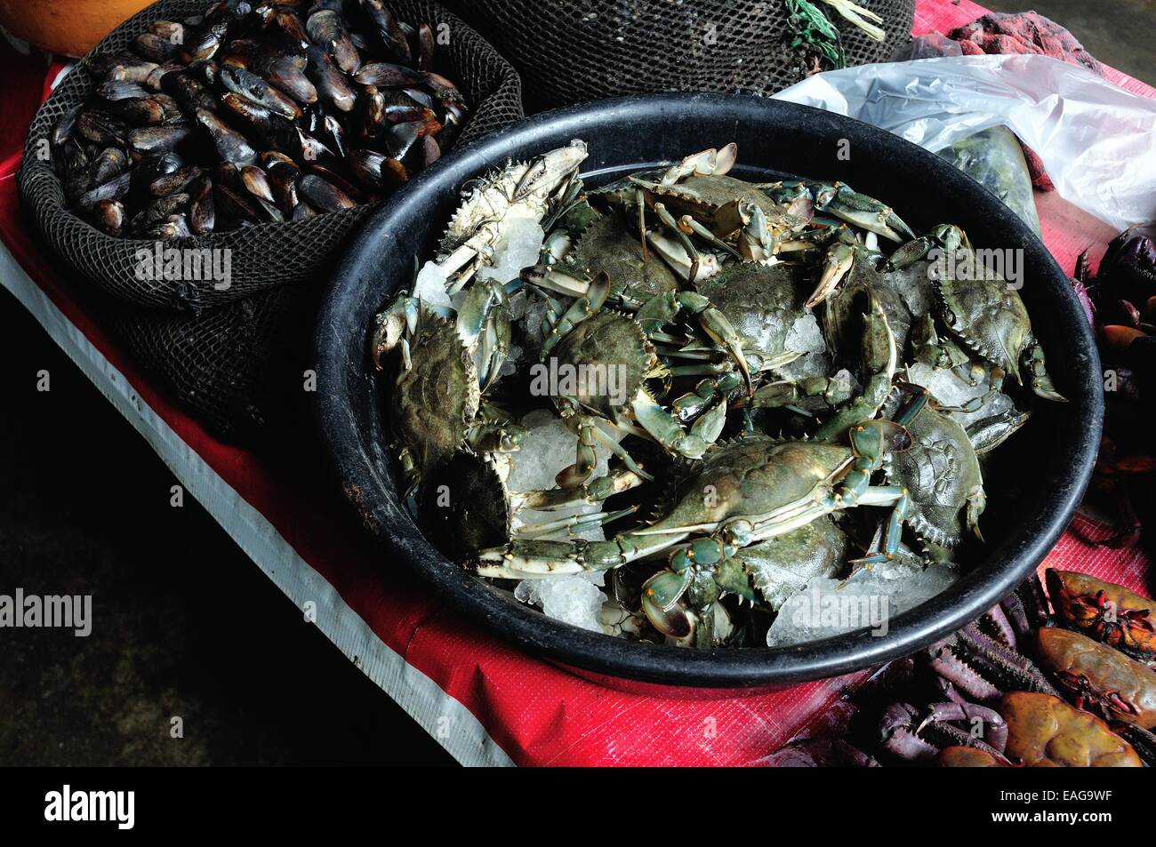Mangle crab market in tumbes hi-res stock photography and images - Alamy