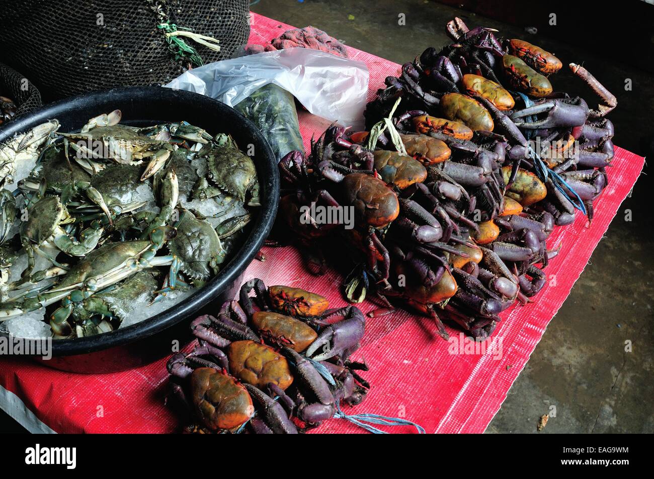 Mangle crab market in tumbes hi-res stock photography and images - Alamy