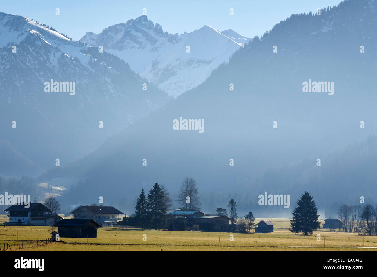 Creeping down hi-res stock photography and images - Alamy