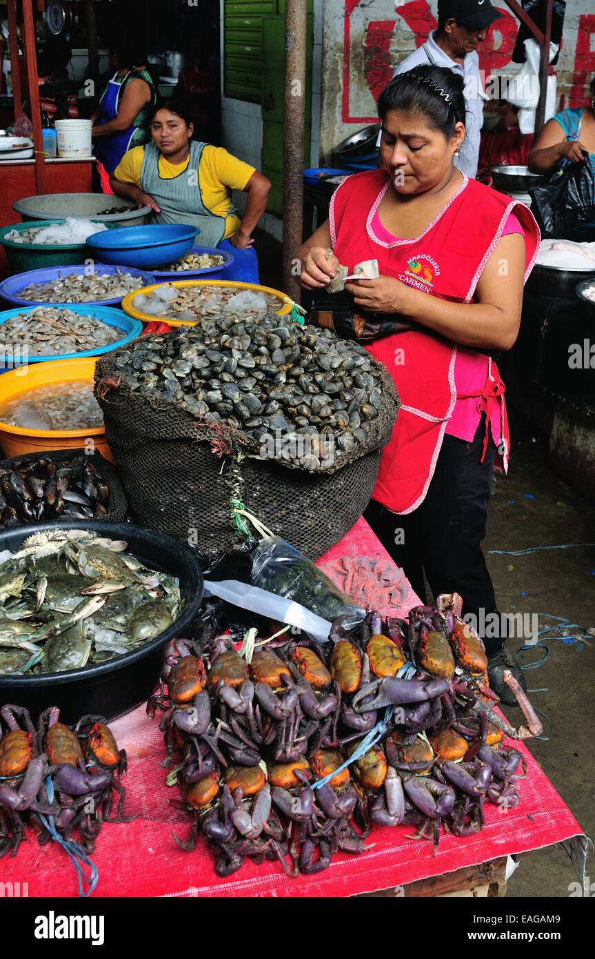 Mangle crab - Market in TUMBES. Department of Tumbes .PERU Stock Photo ...