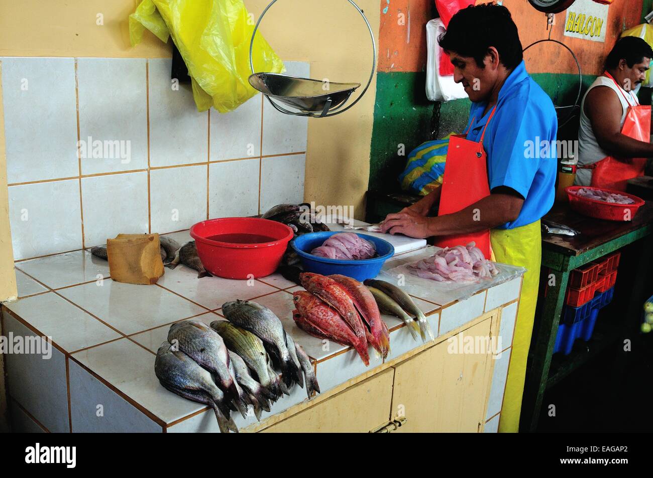 Chavela fish - Market in TUMBES. Department of Tumbes .PERU Stock Photo ...