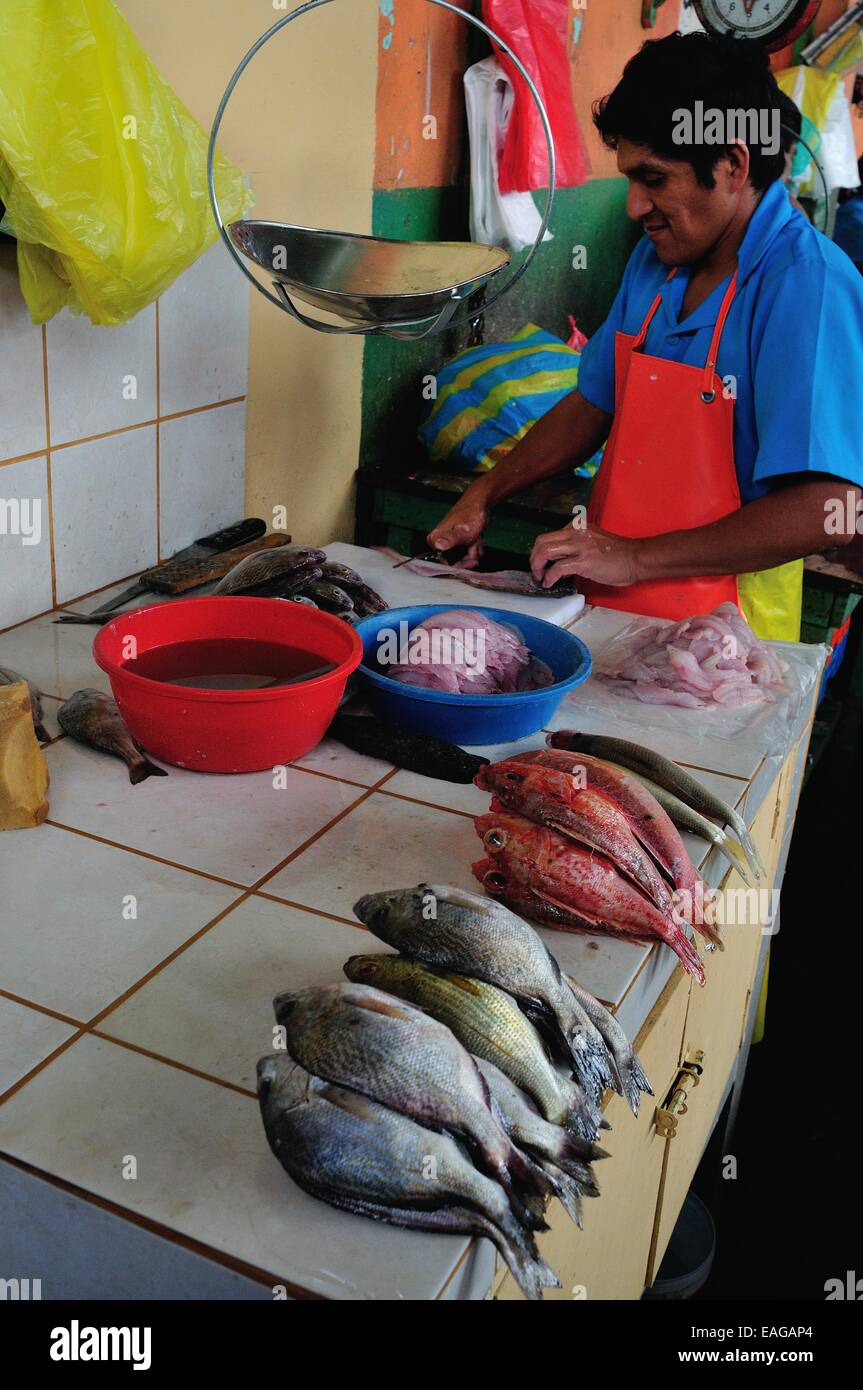 Chavela fish - Market in TUMBES. Department of Tumbes .PERU Stock Photo ...
