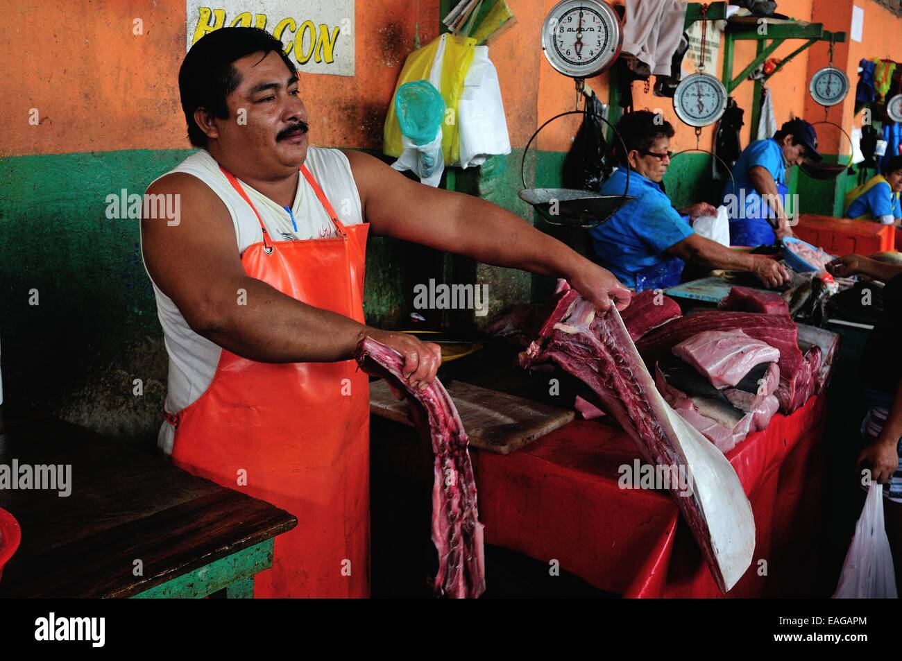Marine Fox - Market in TUMBES. Department of Tumbes .PERU Stock Photo ...