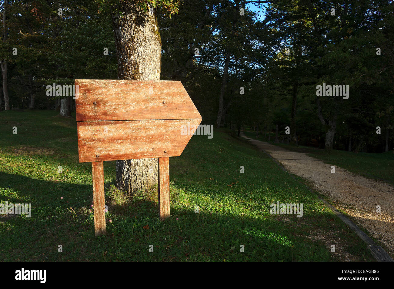 Sign Board Forest Stock Photos & Sign Board Forest Stock Images - Alamy