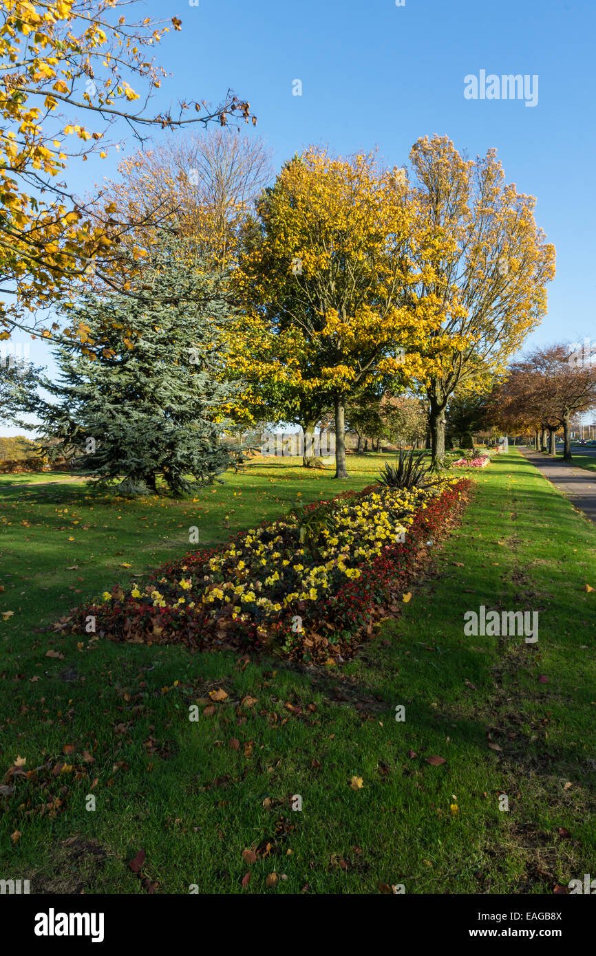 Garden aberdeen hi-res stock photography and images - Alamy