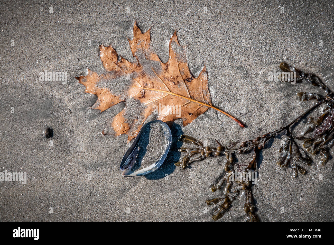 At the edge of the Ocean is a very interested design nature has laid ...