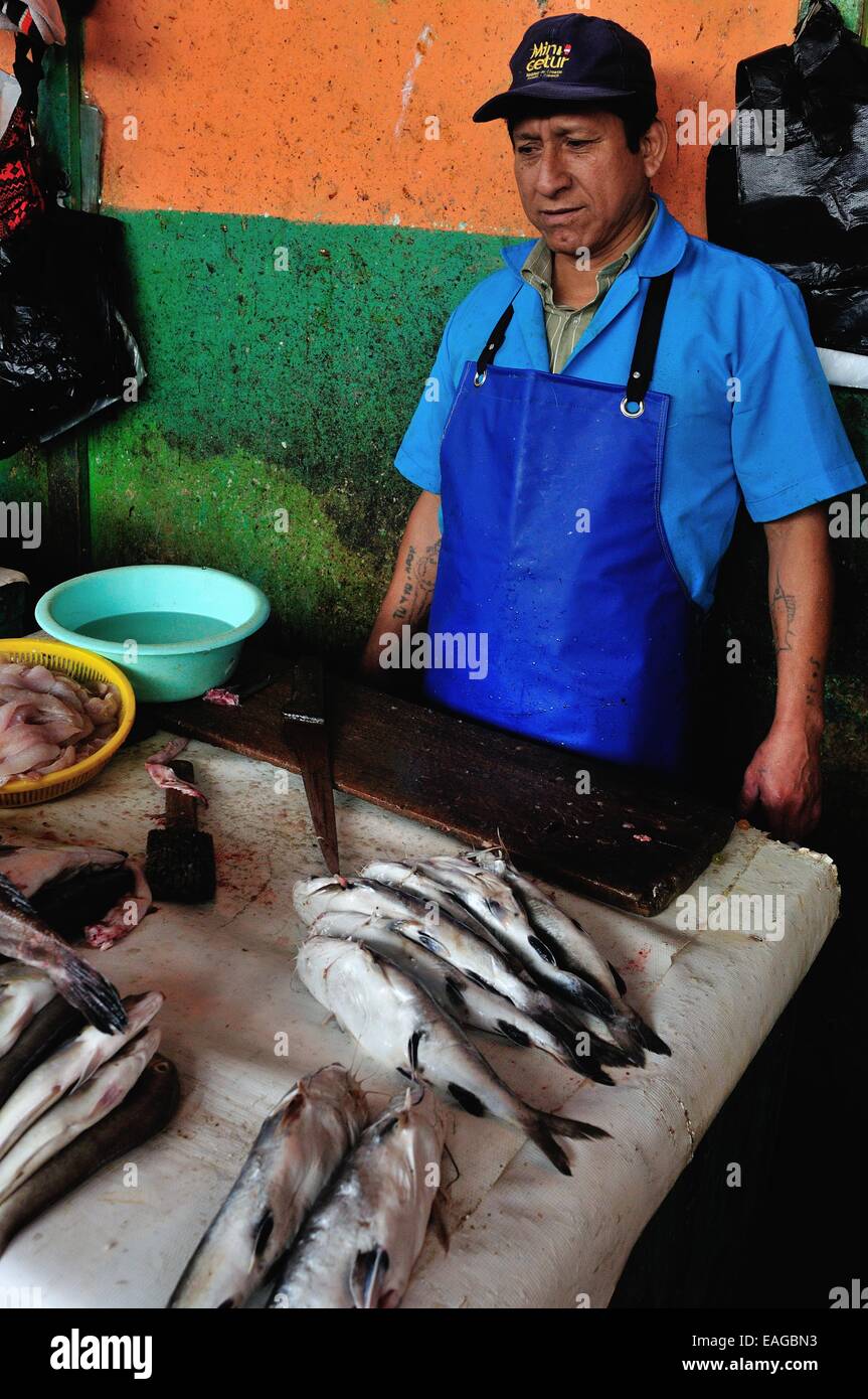 Bagre fish - Market in TUMBES. Department of Tumbes .PERU Stock Photo ...