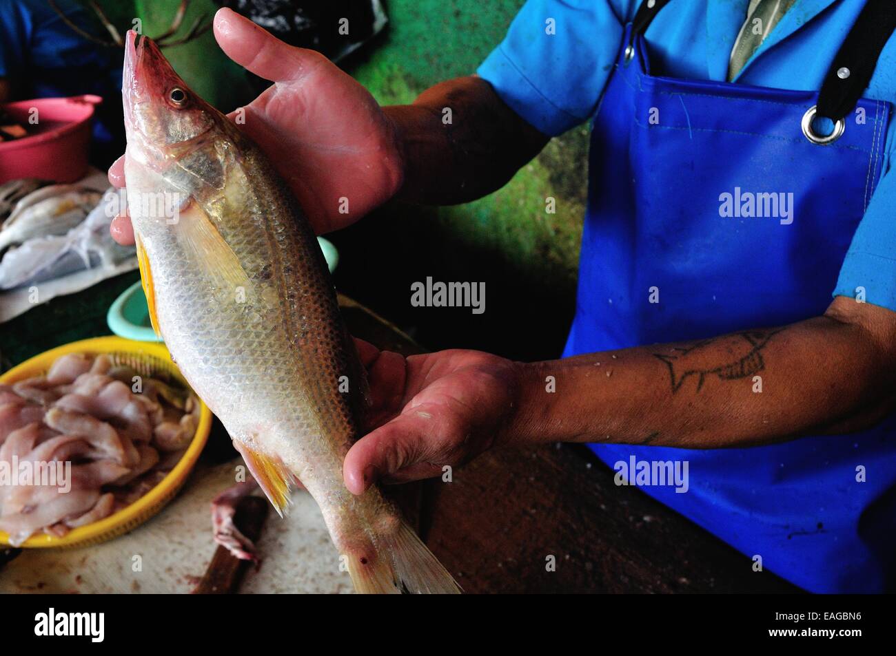 Robalo hi-res stock photography and images - Alamy