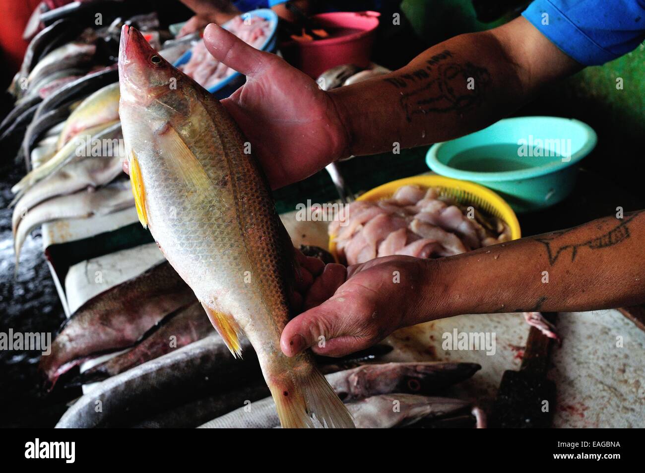 Robalo fish - Market in TUMBES. Department of Tumbes .PERU Stock Photo ...