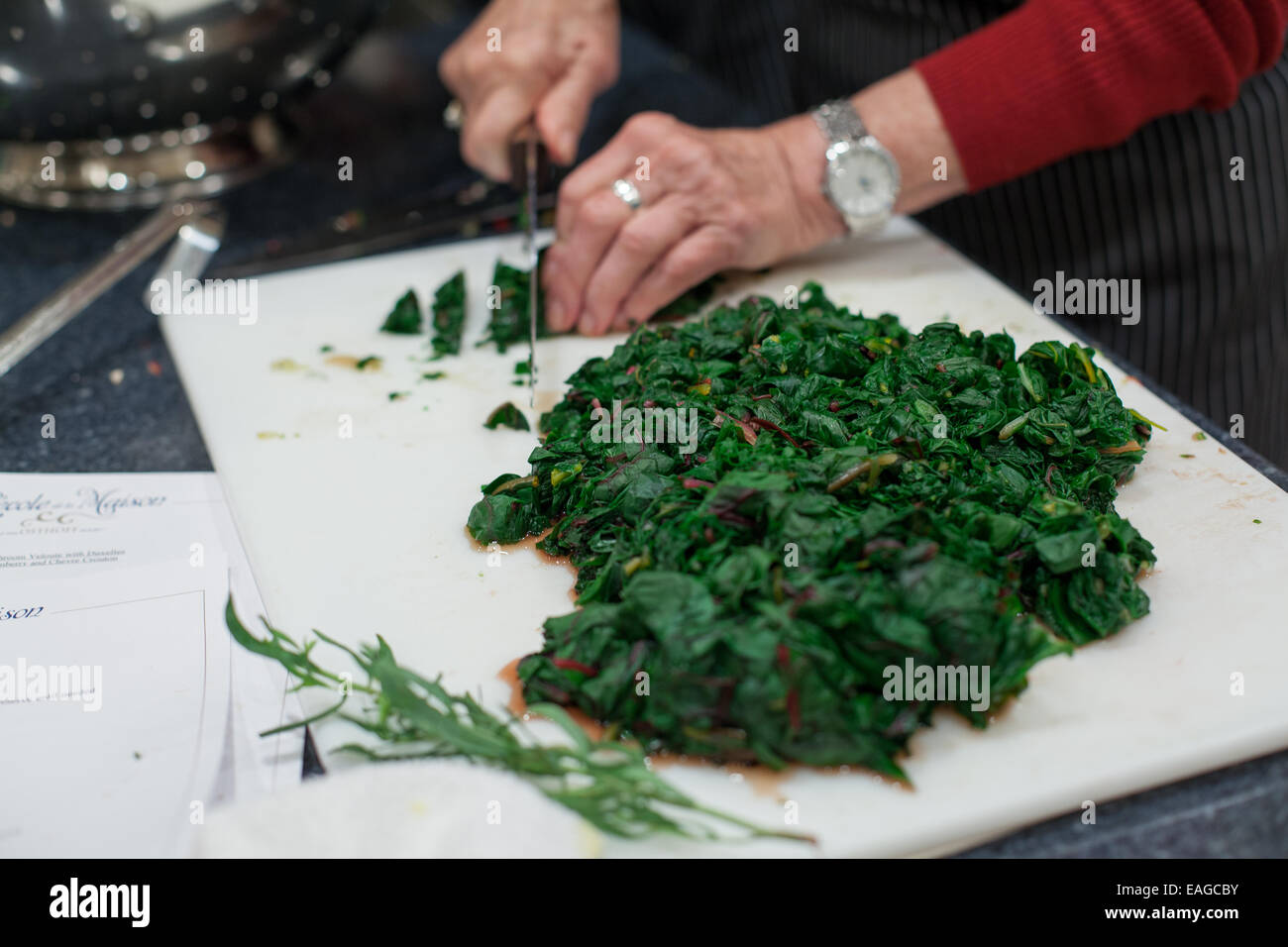 Rainbow swiss chard Stock Photo - Alamy