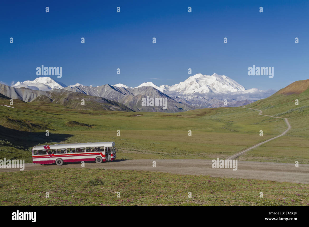 Tour bus on denali park hi-res stock photography and images - Alamy