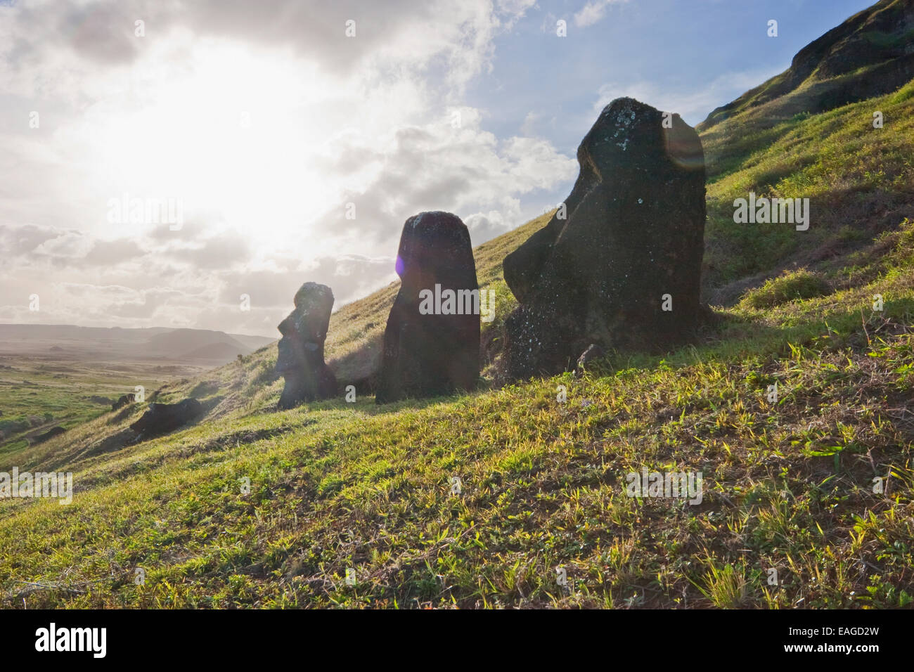 Moais By The Quarry On The Outer Slope Of The Rano Raraku Volcano, Rapa ...