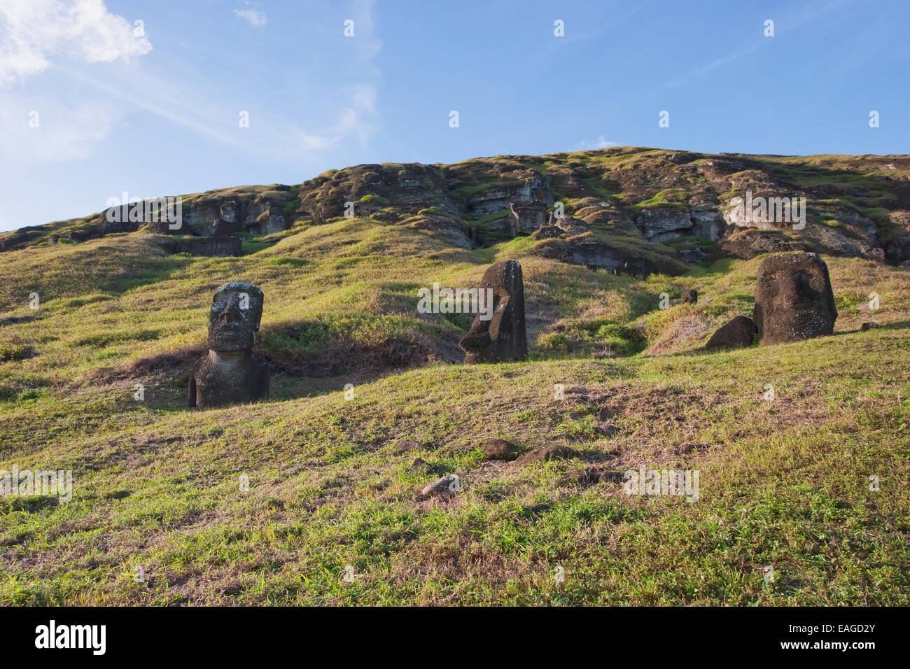 Moais By The Quarry On The Outer Slope Of The Rano Raraku Volcano, Rapa ...