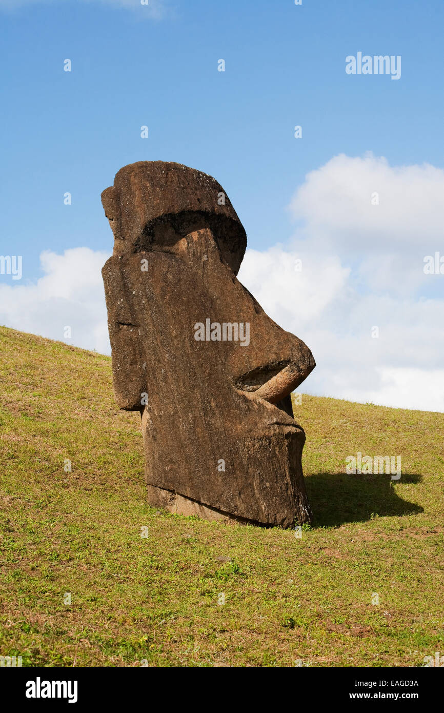 Moai By The Quarry On The Outer Slope Of The Rano Raraku Volcano, Rapa ...