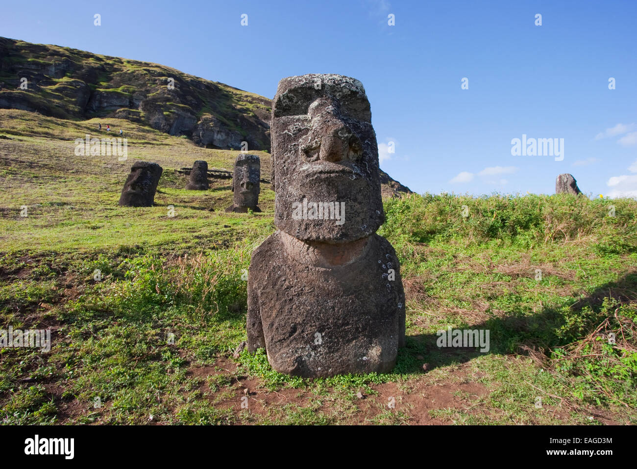 Moais By The Quarry On The Outer Slope Of The Rano Raraku Volcano, Rapa ...