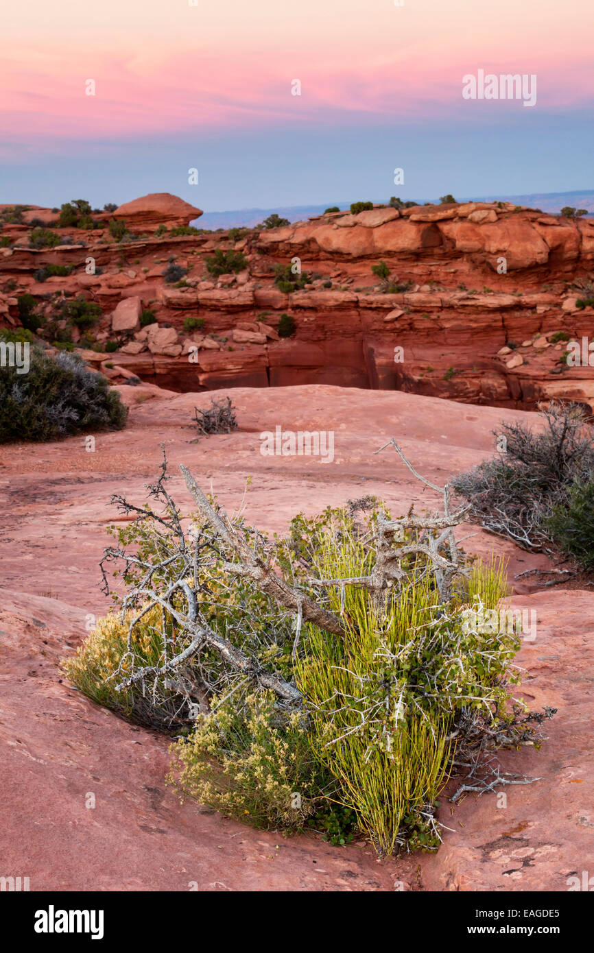 Dawn at Canyonland, Utah Stock Photo - Alamy