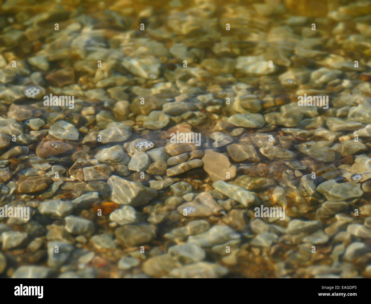 Texture of stones under water in the sea Stock Photo - Alamy