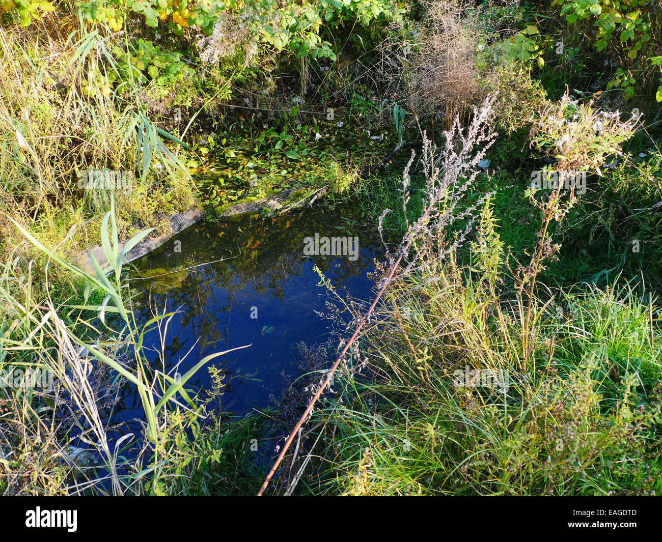 Small lake mere hi-res stock photography and images - Alamy