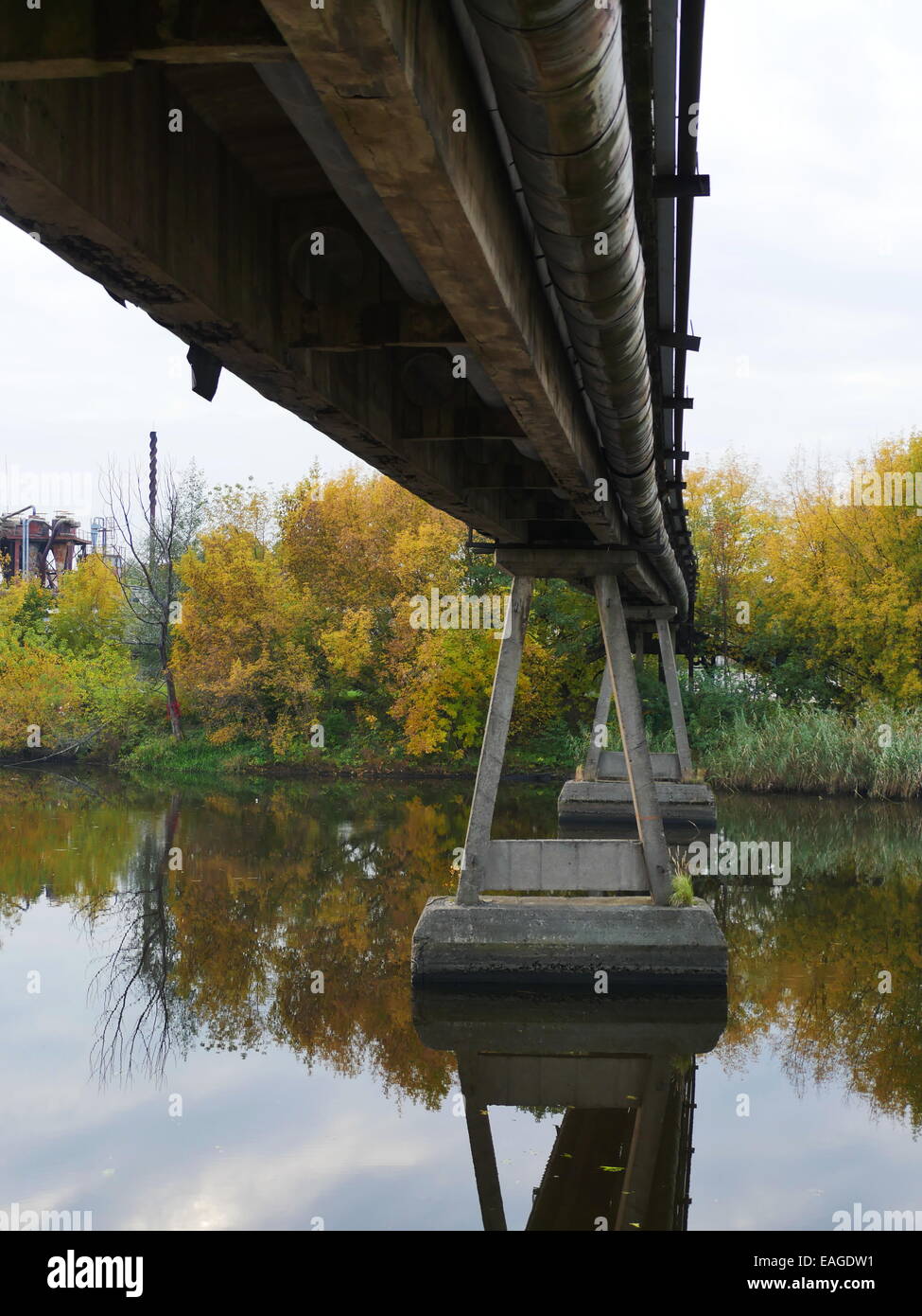 architecture under the bridge surrounded with nature Stock Photo - Alamy